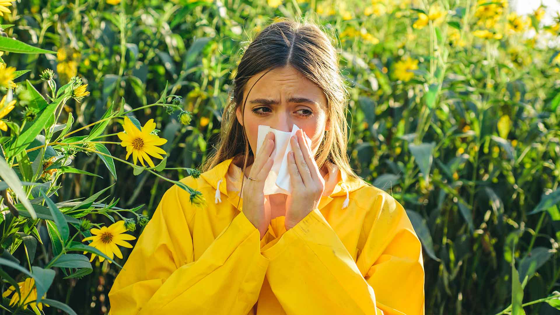 Hay Fever & Contacts: A London Eye Clinic's Guide