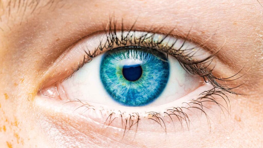 Cholesterol's Hidden Impact on Your Eyes Revealed