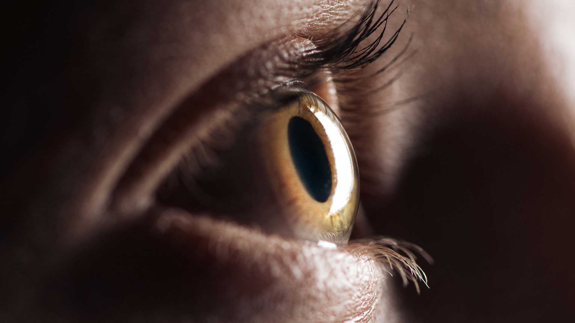 Desgarro de retina frente a desprendimiento de retina: los expertos de ...